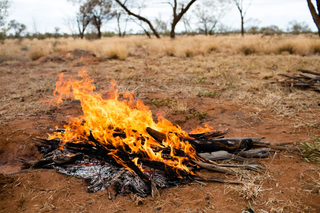 Reconciliation demands action now - Children's Ground